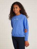 Tommy hilfiger blue sweatshirt store